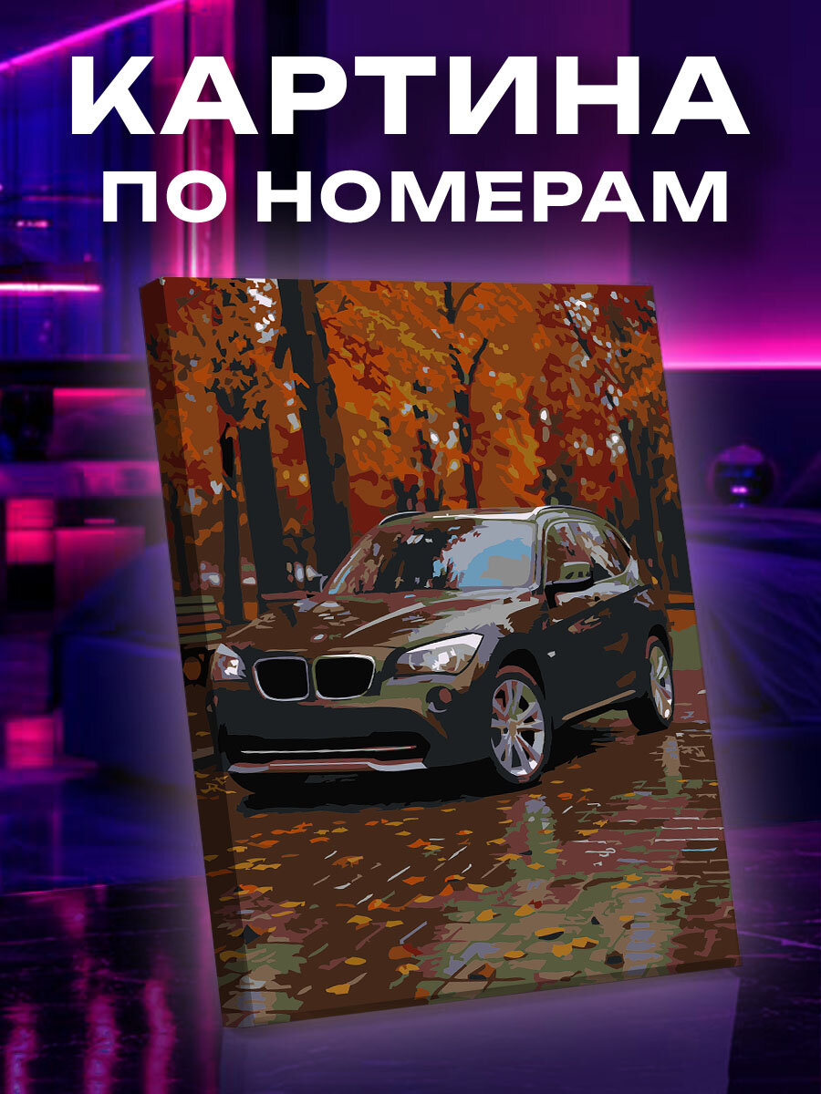 Картина по номерам Коричневый BMW в осеннем парке