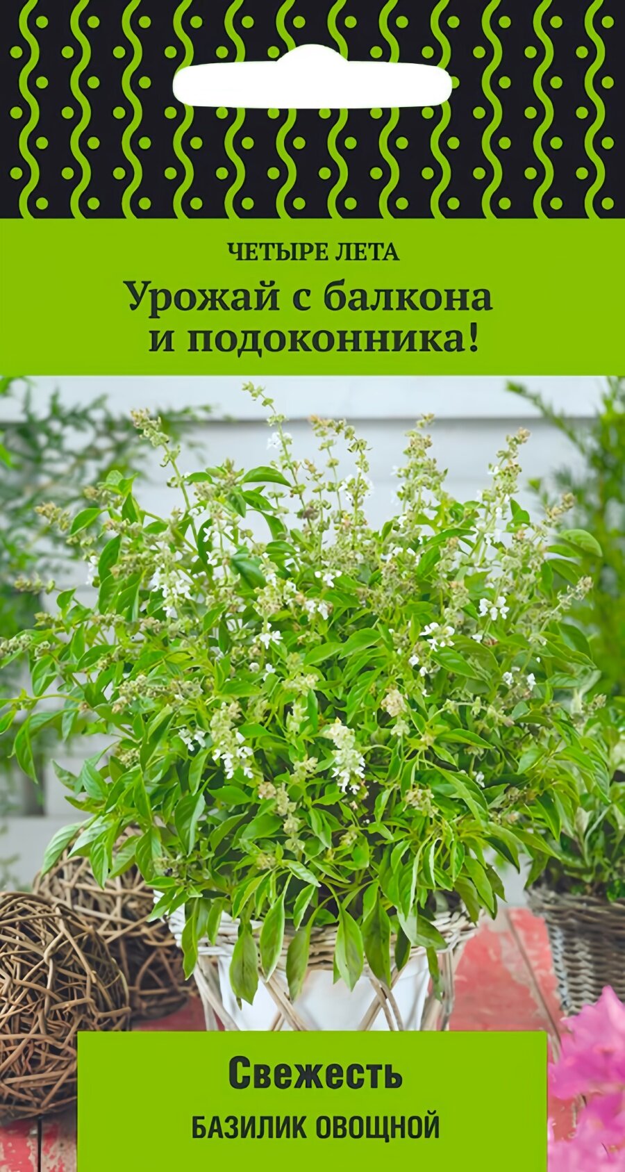 Семена базилика овощного Свежесть, 0,1 г, Поиск, однолетник, высота до 30 см, посев на рассаду в марте–апреле