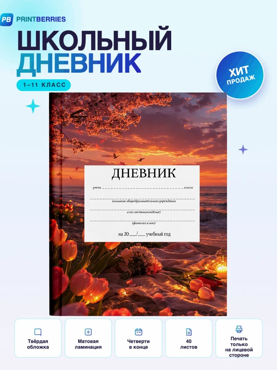 Школьный дневник Закат природа