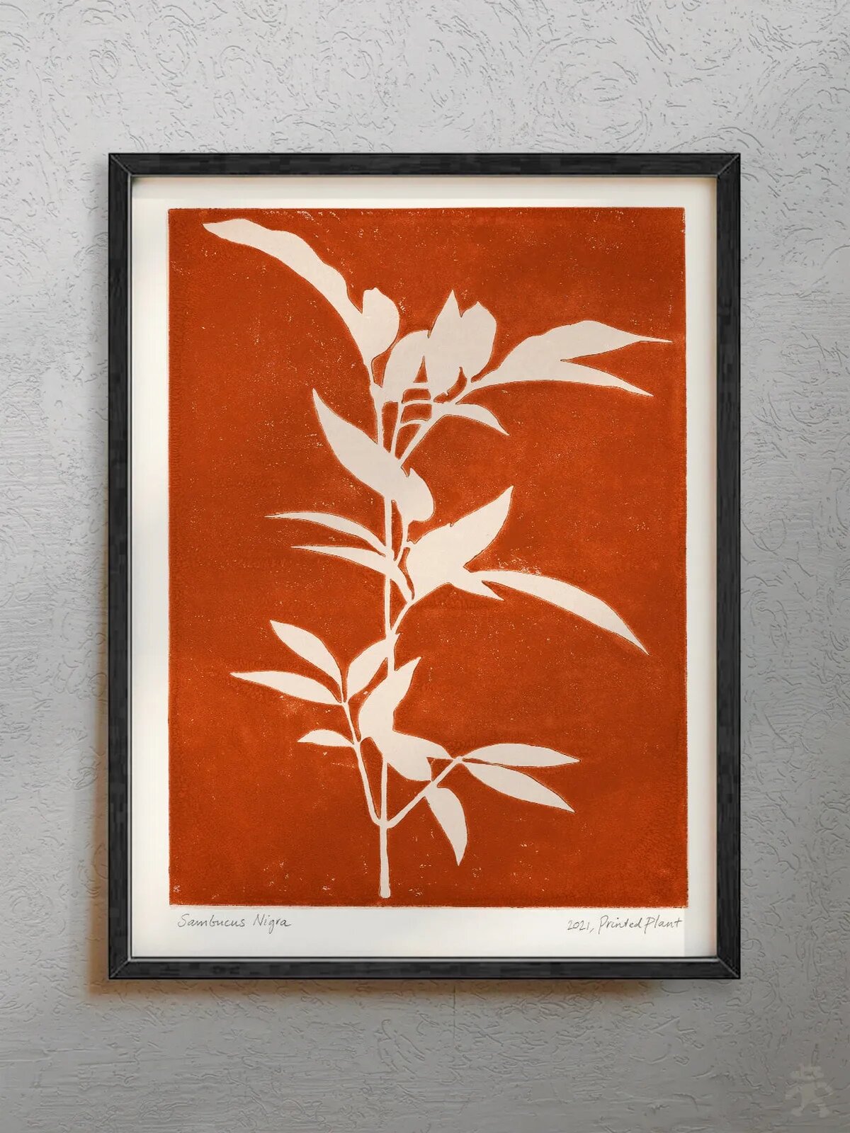 Интерьерный постер "Sambucus Nigra" в стиле pinterest, формата 30x40 см.