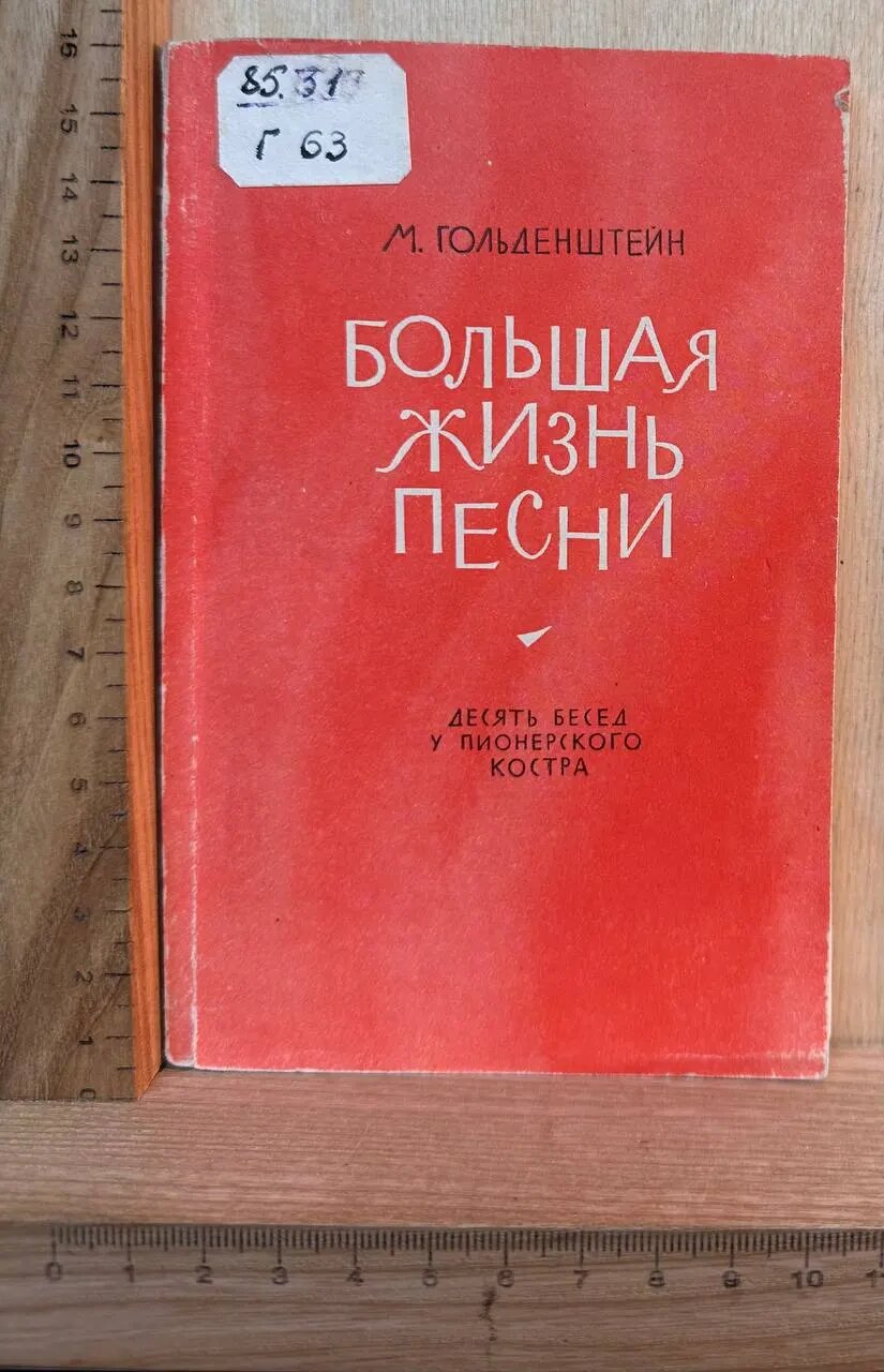 Большая жизнь песни. Десять бесед у пионерского костра