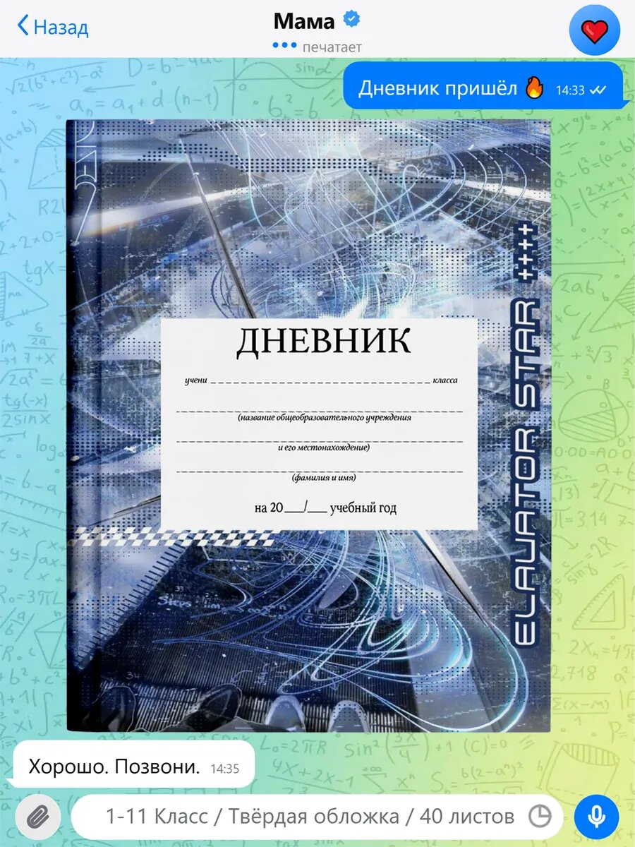 Школьный дневник с принтом Роблокс