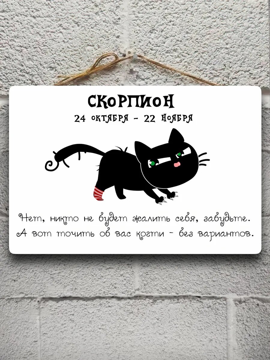 Котики постер