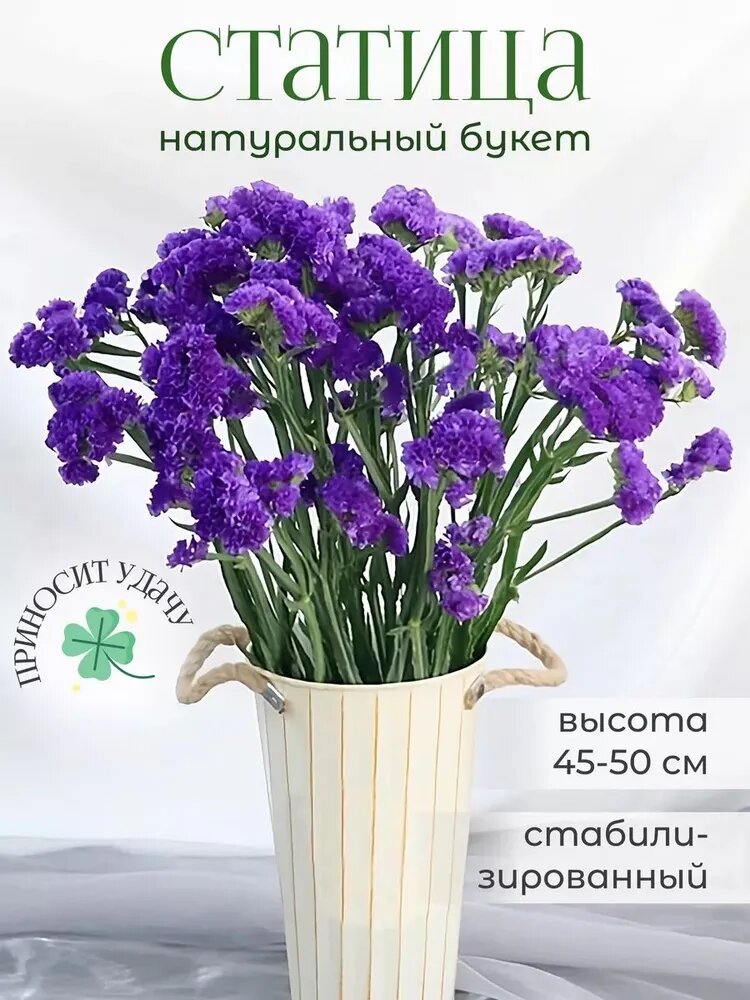 Сухоцветы Незабудка, 50 см, 105 гр, 1 шт