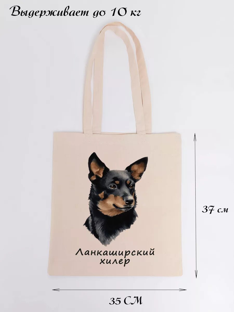Сумка мессенджер кооператив.москва