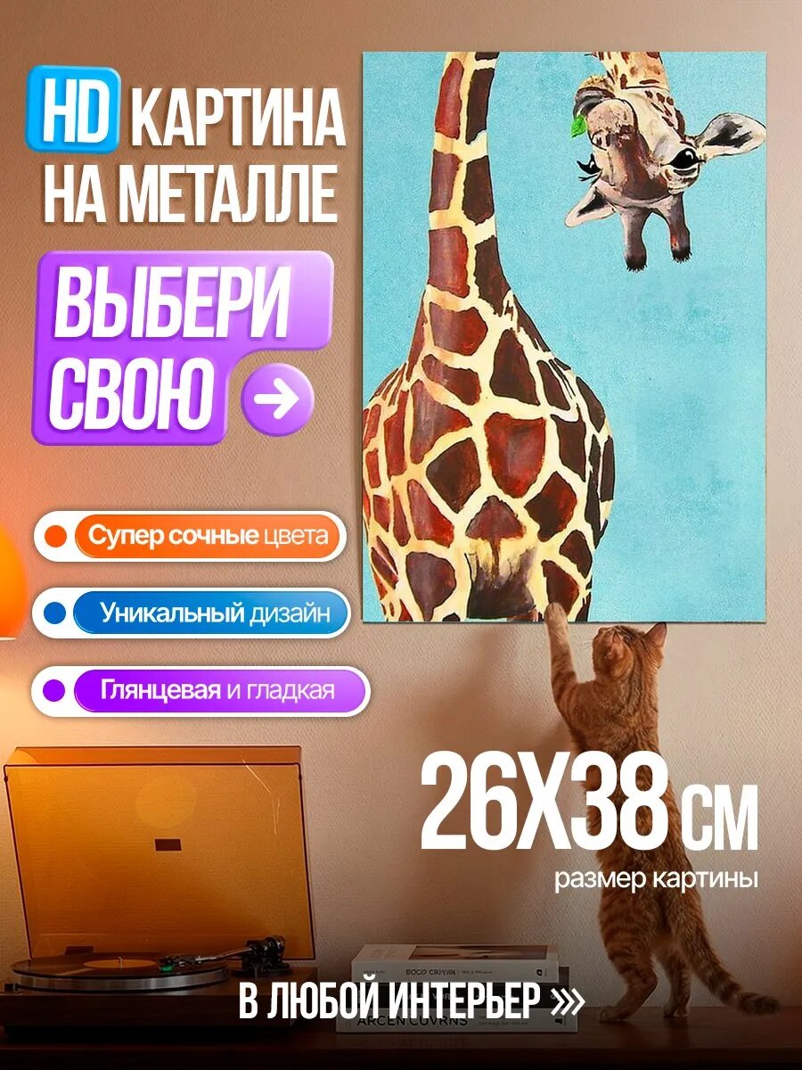 Картина на HD металле Две жирафы в небе