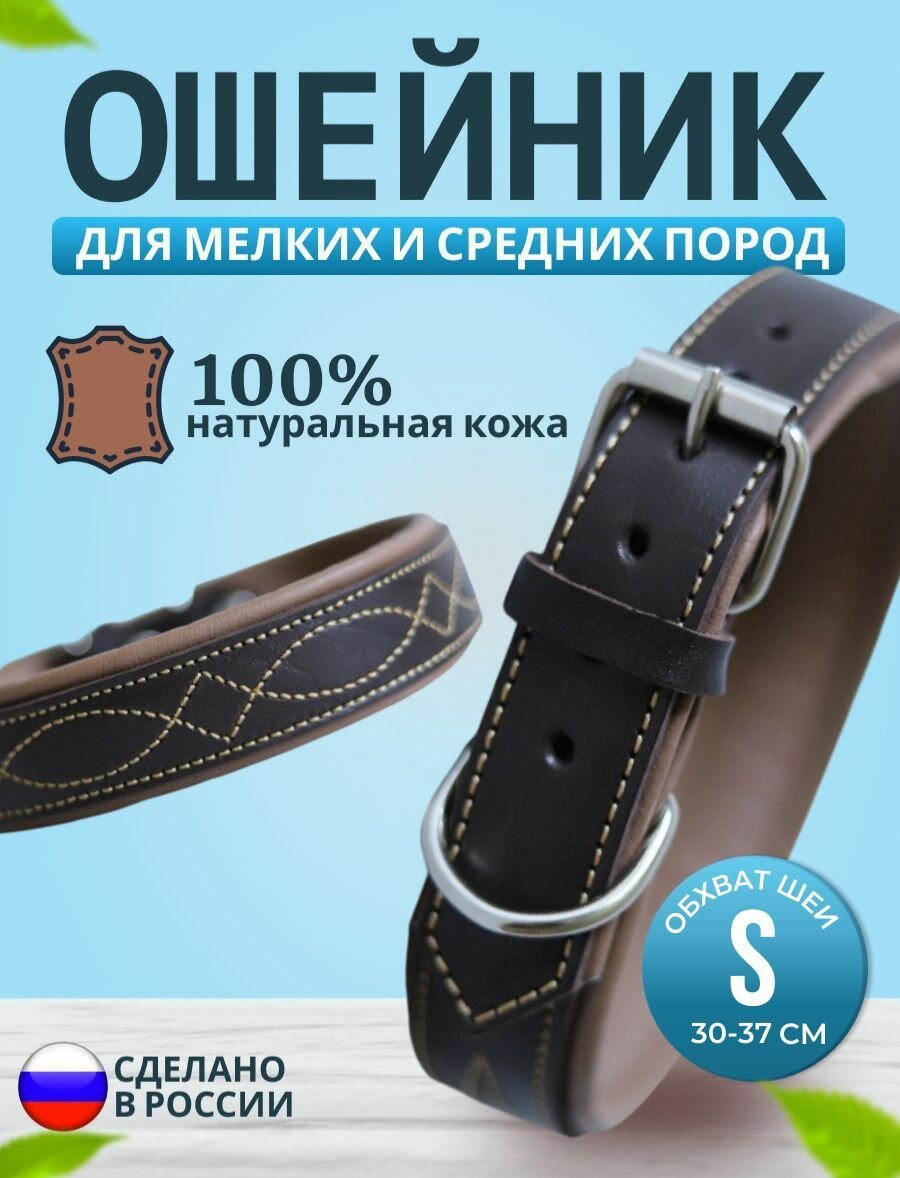 Ошейник для собак кожаный, анатомический, для мелких пород, ширина 2 см, обхват шеи 30-37 см, коричневый (S)