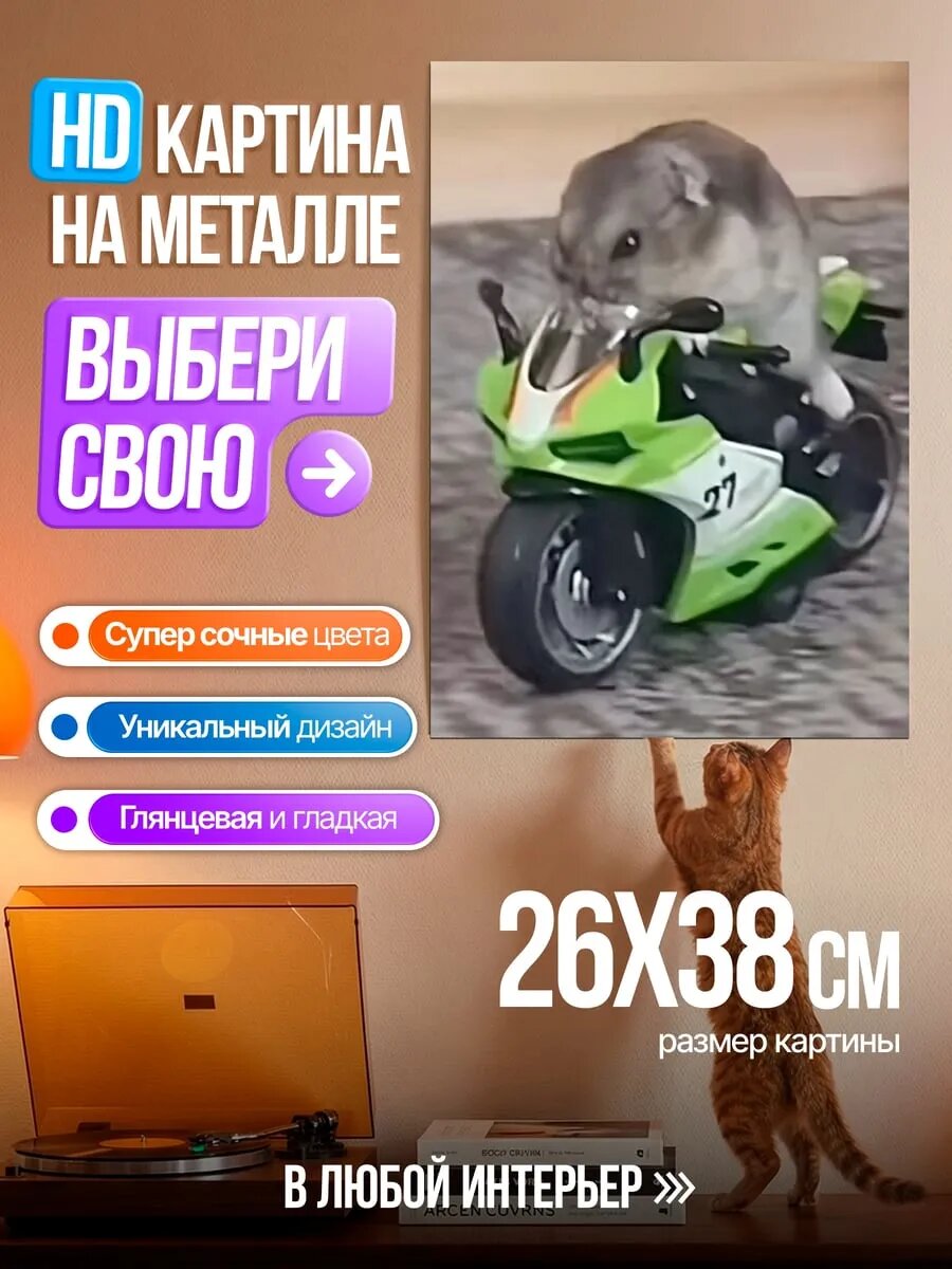 Картина на HD металле Хомяк на мотоцикле