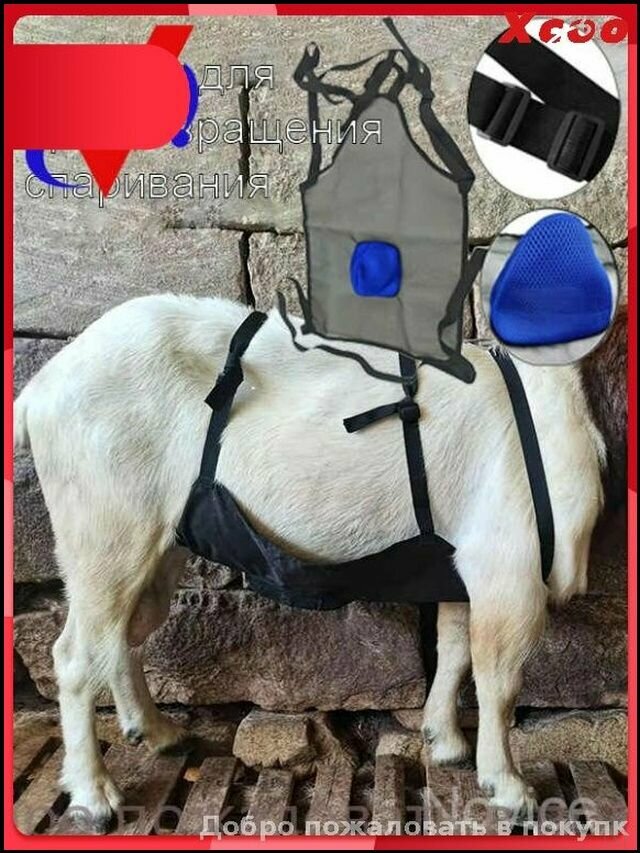 Эксклюзивный аксессуар для козла