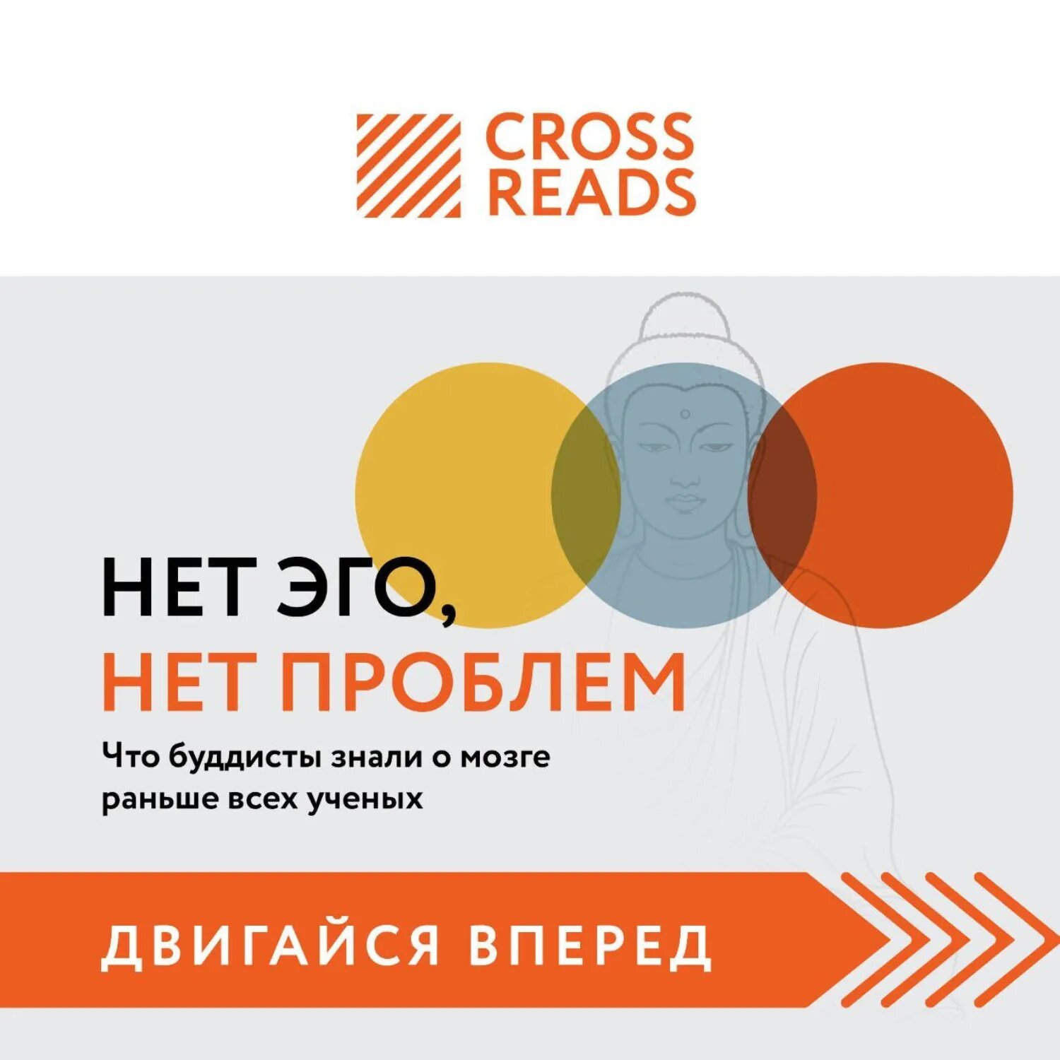 Саммари книги «Нет Эго, нет проблем. Что буддисты знали о мозге раньше всех ученых» [Аудиокнига]