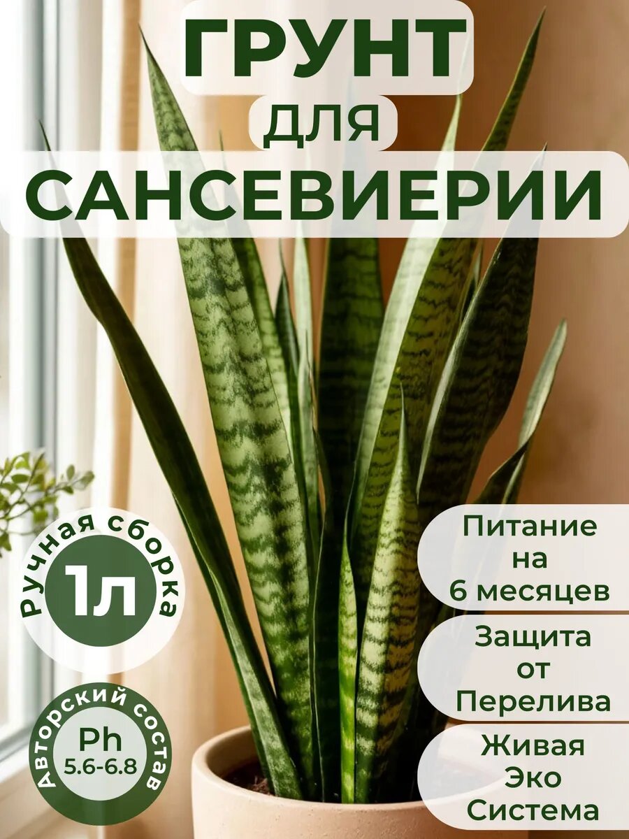 Готовый авторский грунт для Сансевиерии, премиум 1 литр