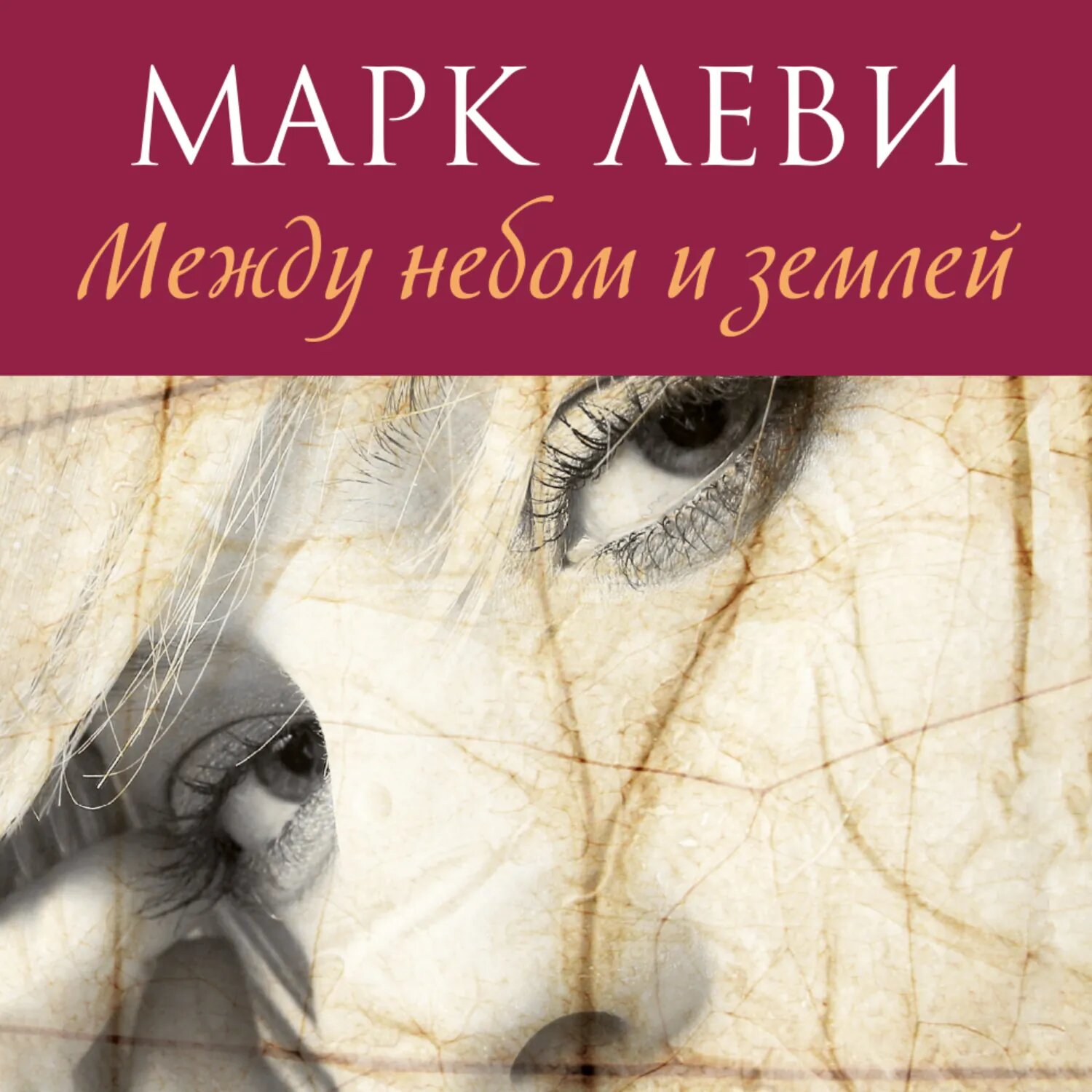 Между небом и землей [Аудиокнига]