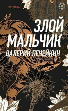 Печейкин В. Злой мальчик