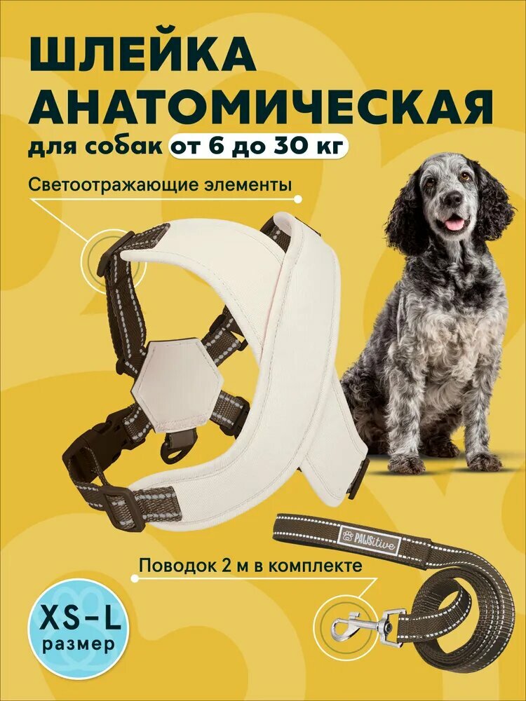 Шлейка PAWSitive / Для собак мелких и средних пород размер S / Анатомическая c поводком 2 м