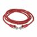 ACD-LPS6AZ-50C ACD Кабель ACD Патч-корд ACD-LPS6AZ-50C |ACD-LPS6AZ-50C| Cat6a SS...