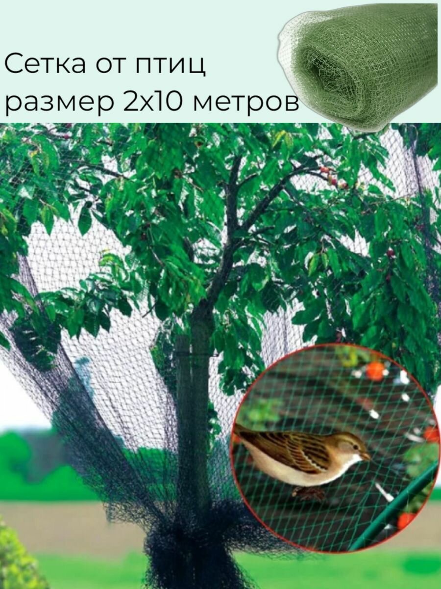 Сетка для защиты от птиц, ячейка 6х6 мм, размер рулона 2х10 метров, цвет Хаки