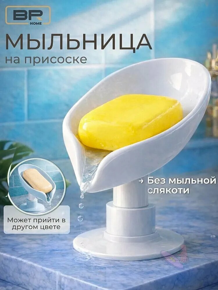 Мыльница
