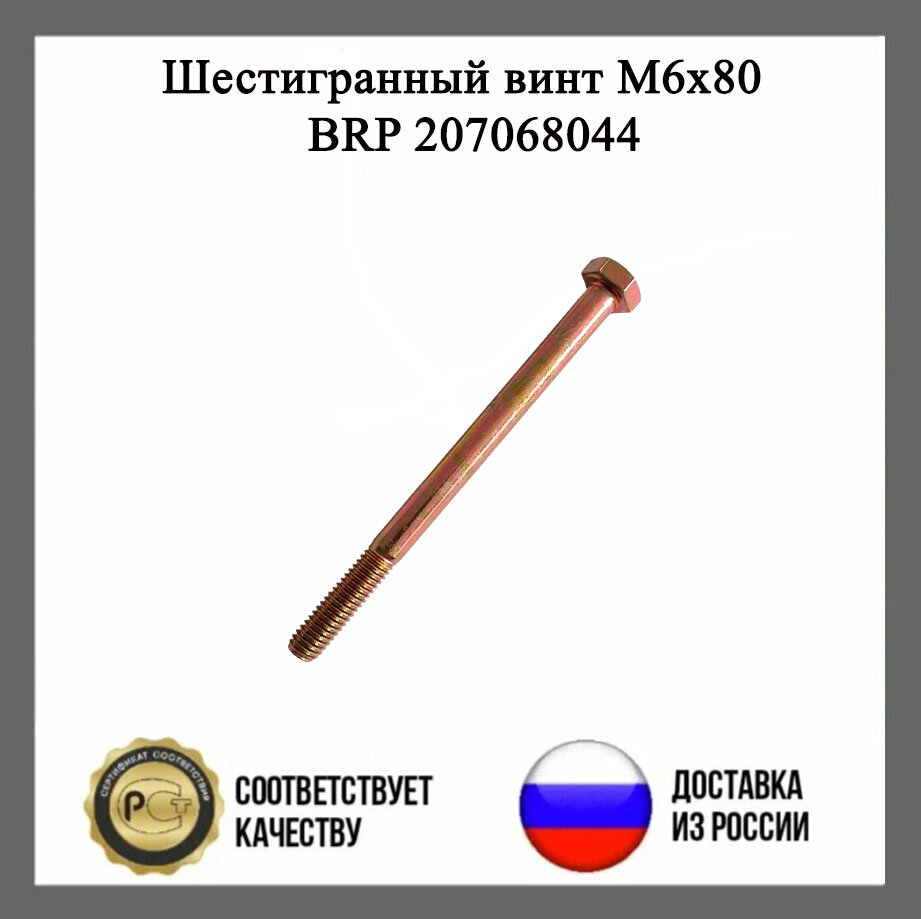 Шестигранный винт M6x80 BRP 207068044