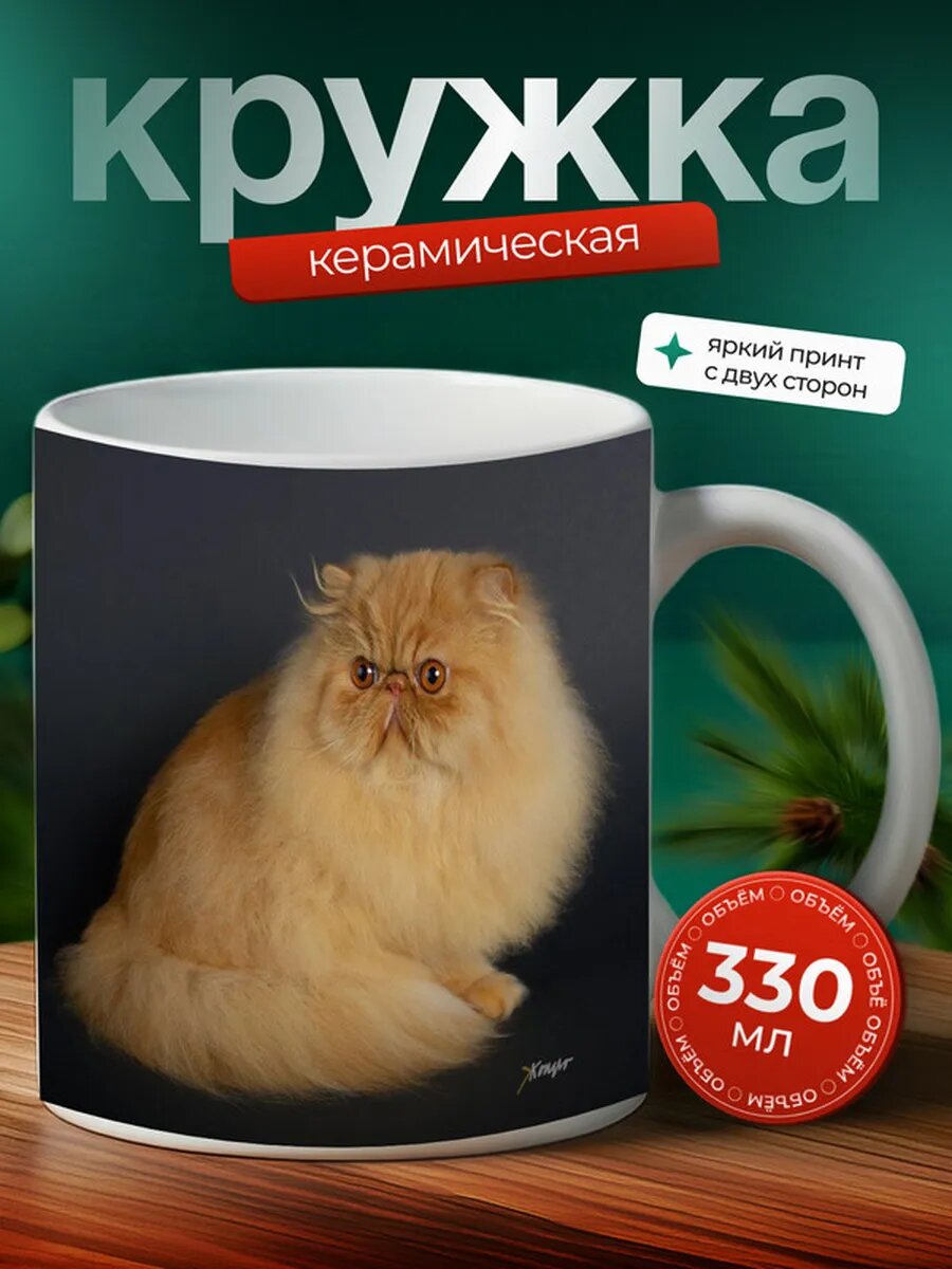 Кружка Иранский персидский кот 3,