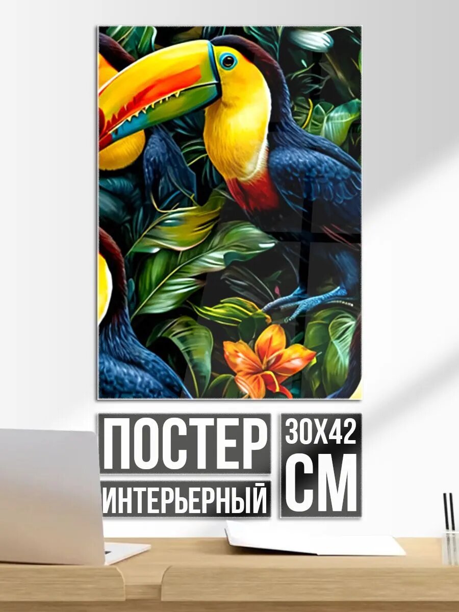 Постер на стену Туканы