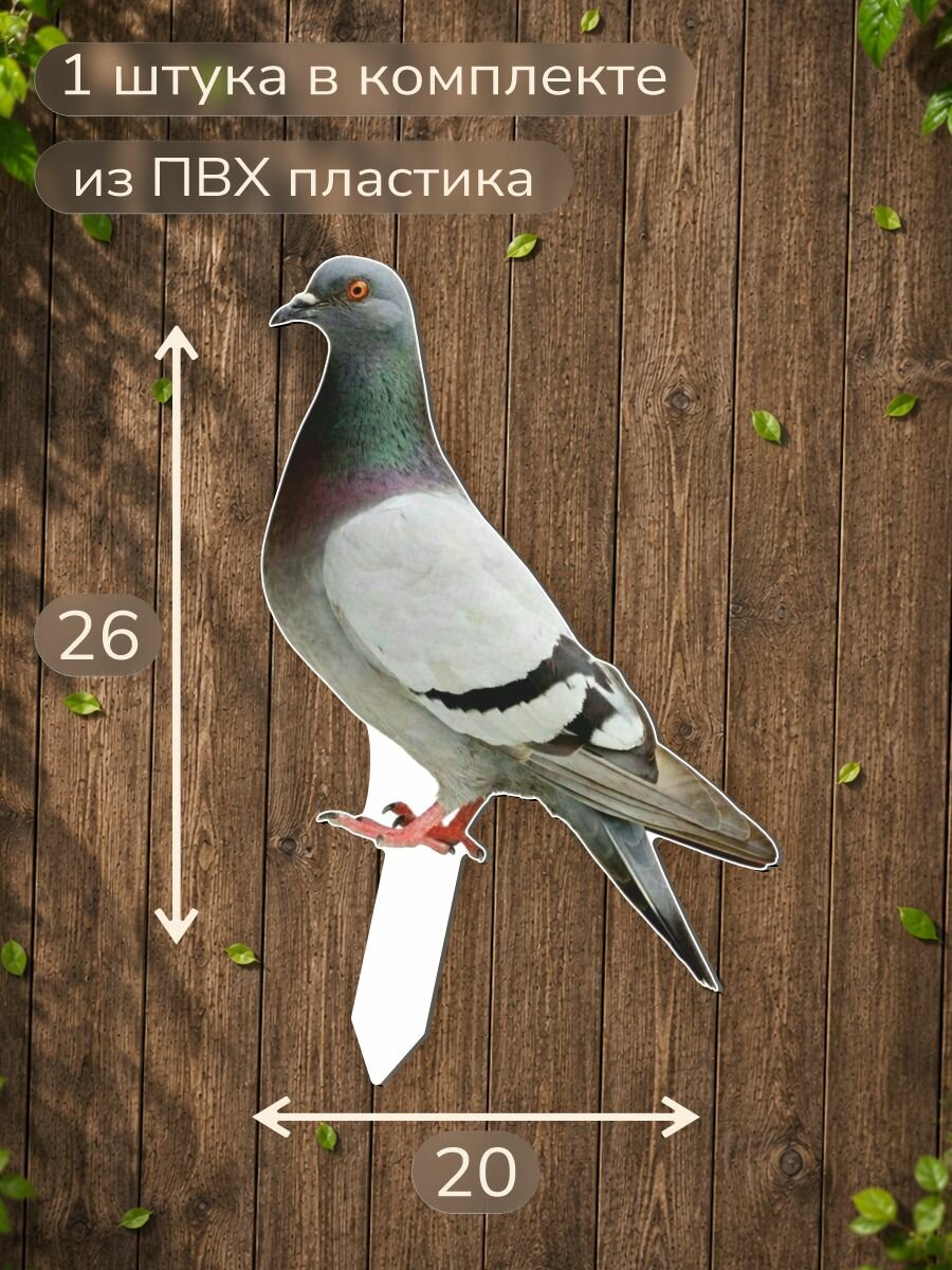 Фигурки для сада Голубь — фото 1