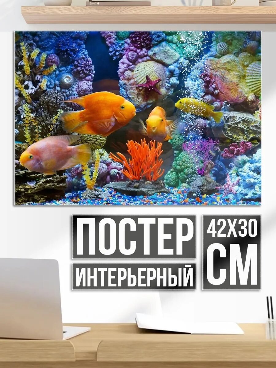 Плакат постер Подводный мир с рыбками