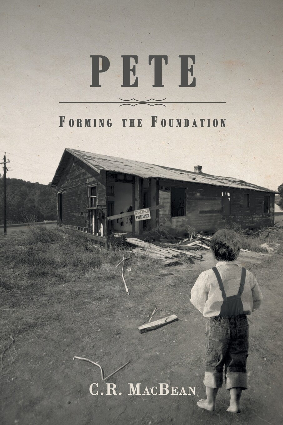Pete. Forming the Foundation — фото 1