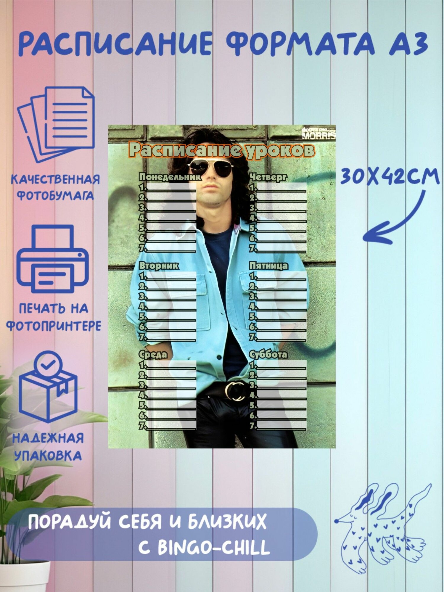 Расписание уроков формата А3 с принтом "Доорс, Doors"