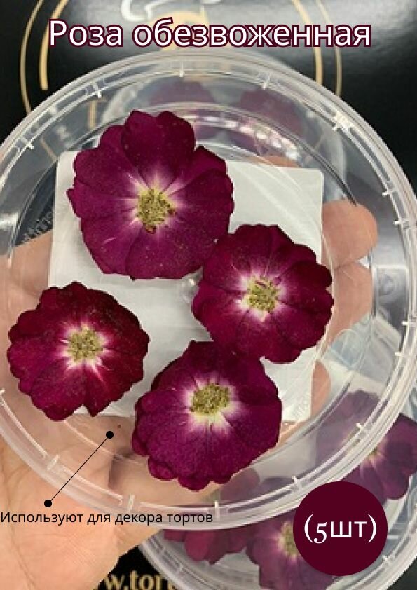 Роза обезвоженная "Микс", (5шт)
