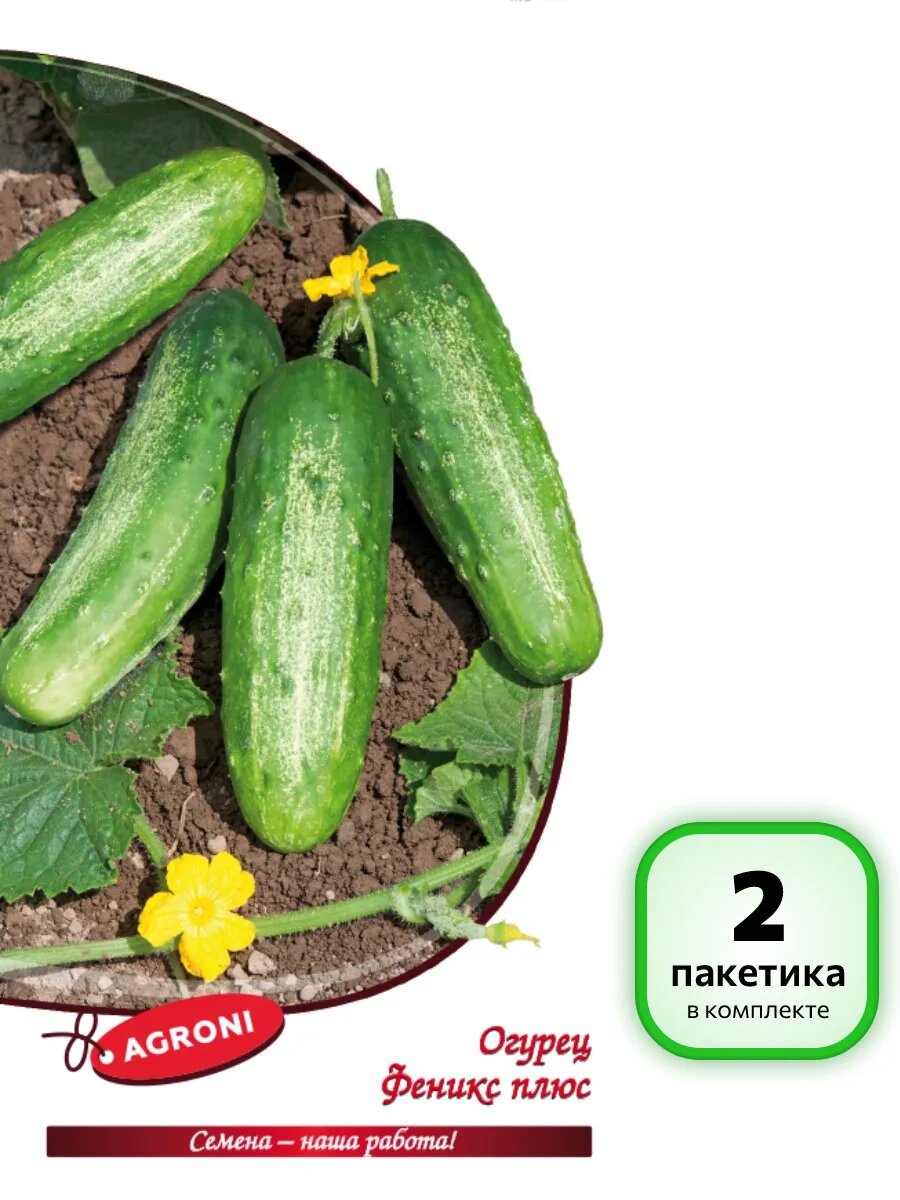 (2 шт.) - Семена Огурец Феникс плюс (0,5г)