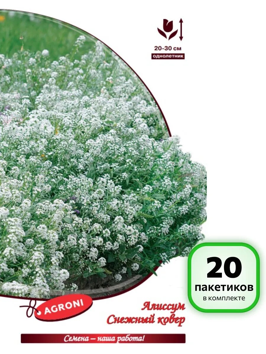 (20 шт.) - Семена Алиссум Снежный ковер (0,1г)