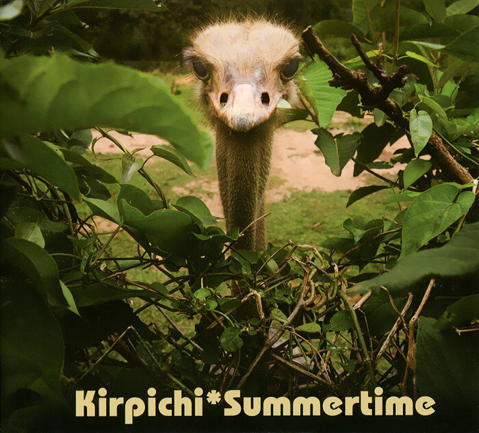 Кирпичи. Summertime