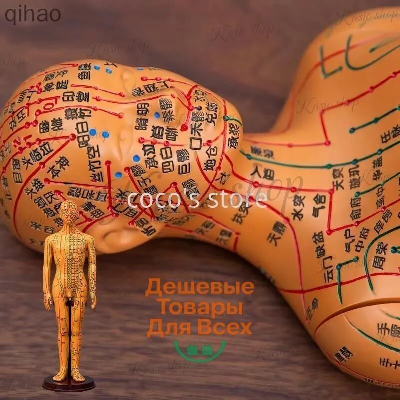 Модель человеческих меридианов с женскими акупунктурными точками, обозначенными на китайском языке52cm