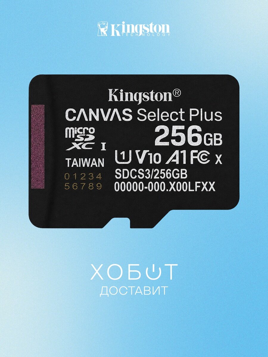 Карта памяти Kingston Canvas Select Plus microSDXC 256GB C10 (SDCS3/256GBSP)