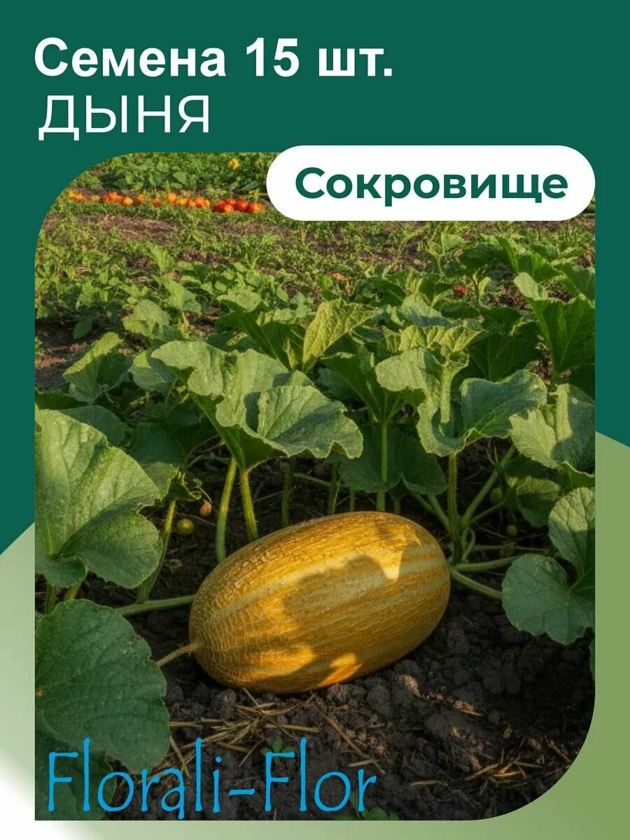 Дыня Семена
