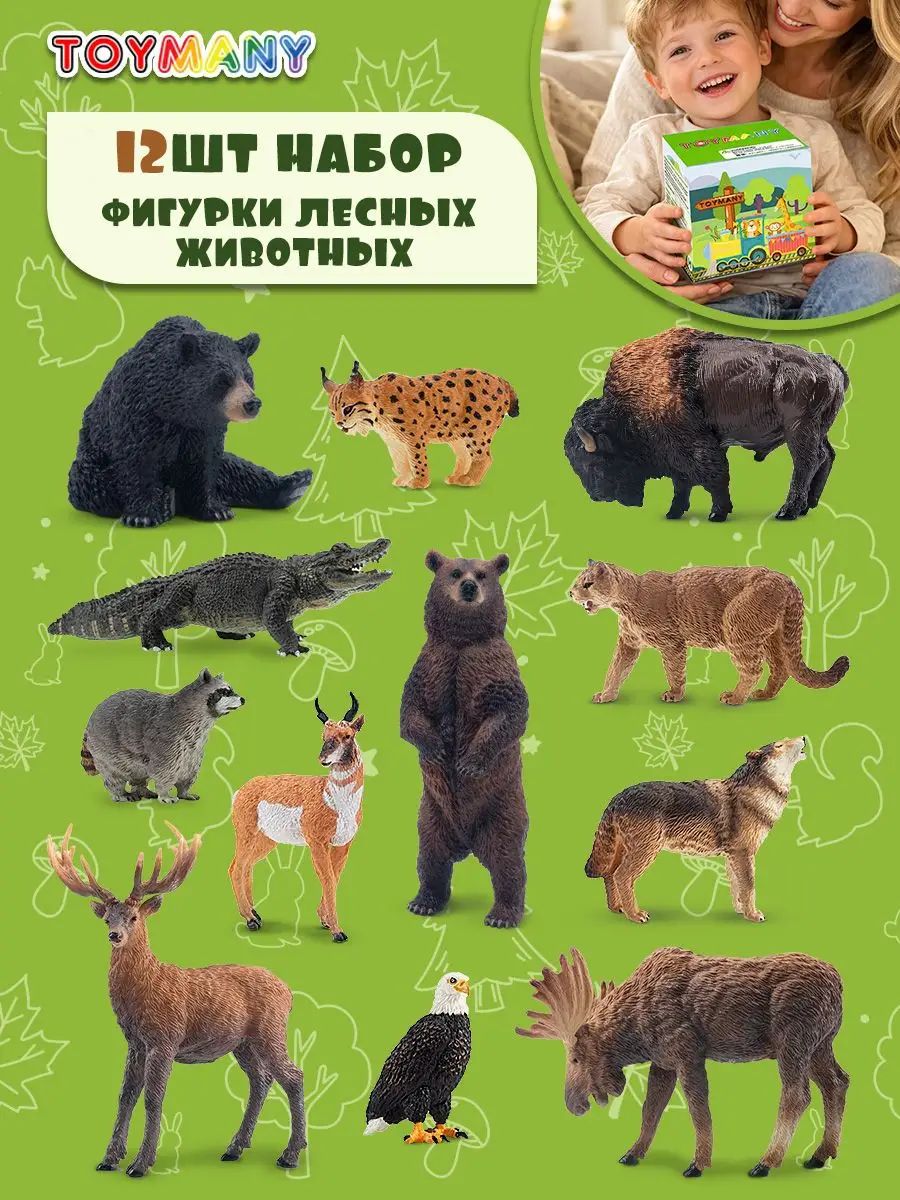Toymany Набор фигурок животных, 12 шт, Североамериканское лесное животное, подарок для детей