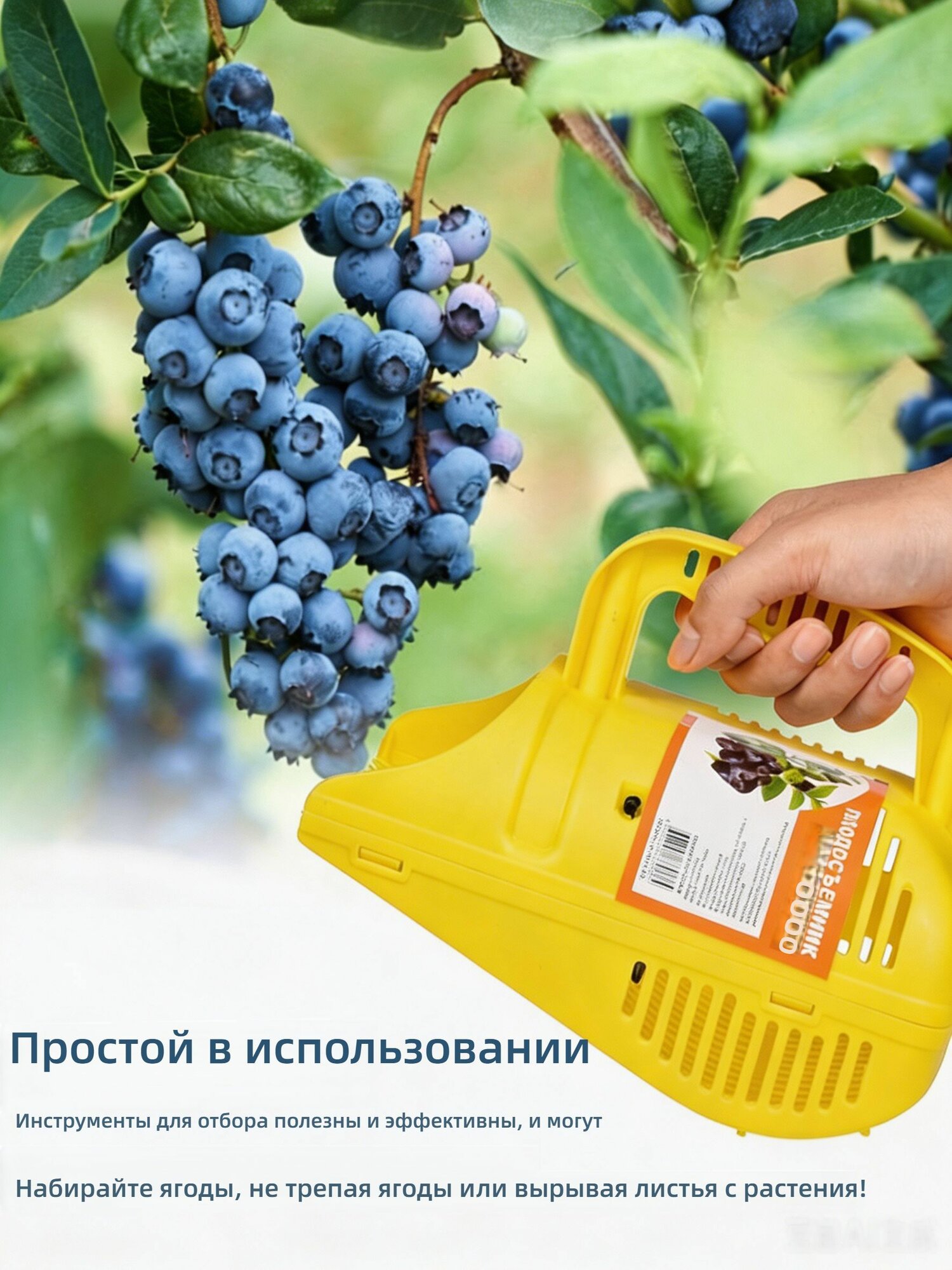 Плодосборник,22х14х17см — фото 1