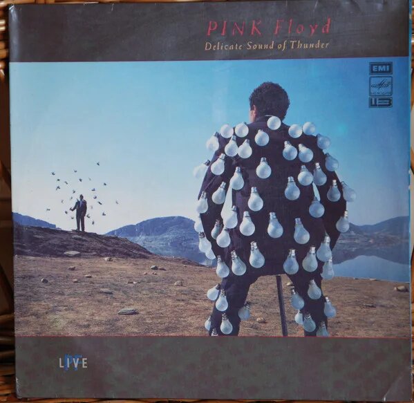 Pink Floyd - Delicate Sound Of Thunder 2LP EX