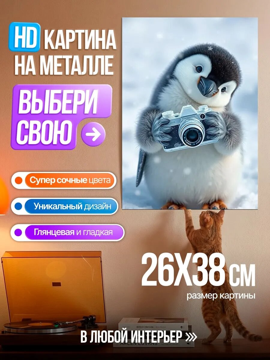 Картина на HD металле Пингвин с камерой