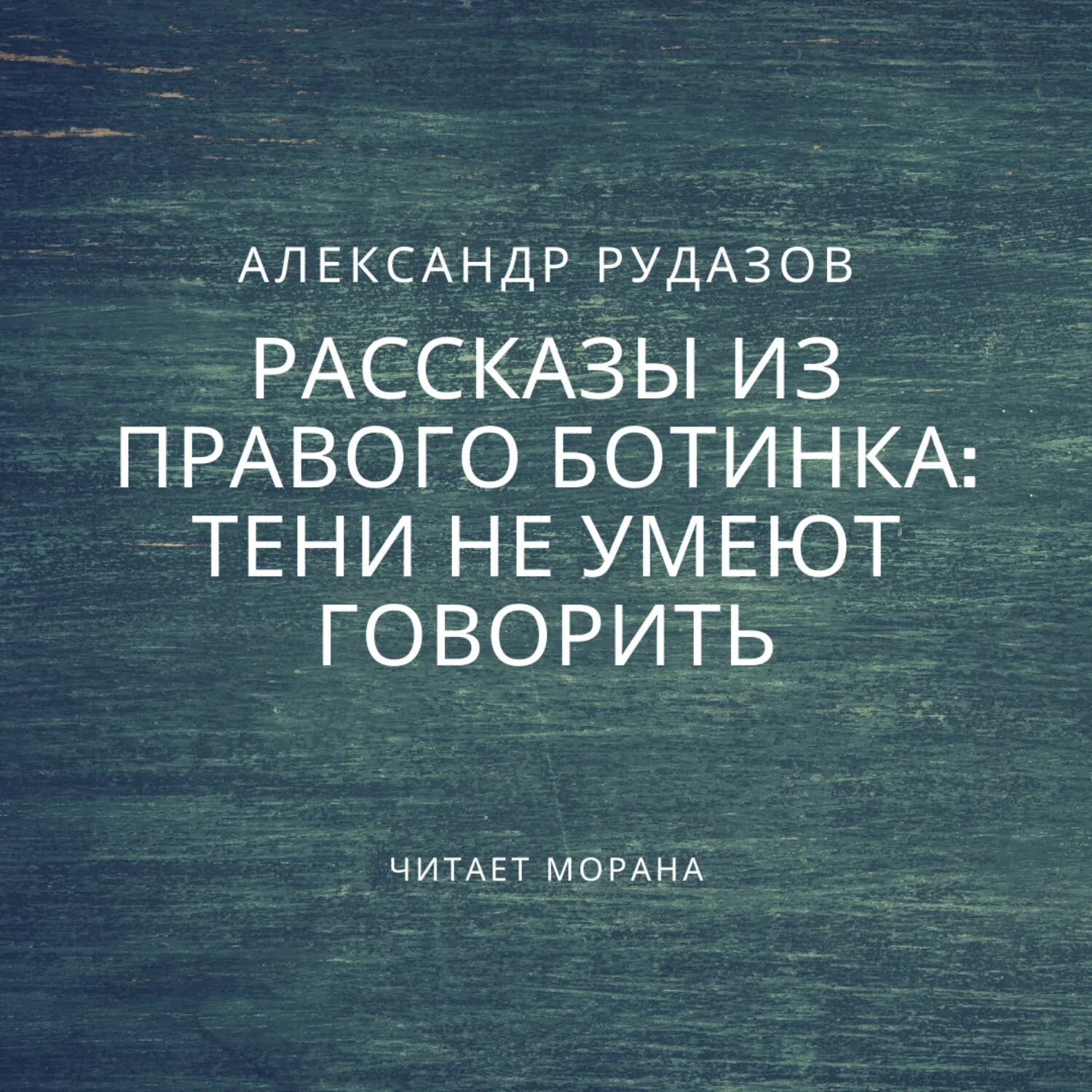 Тени не умеют говорить [Аудиокнига]