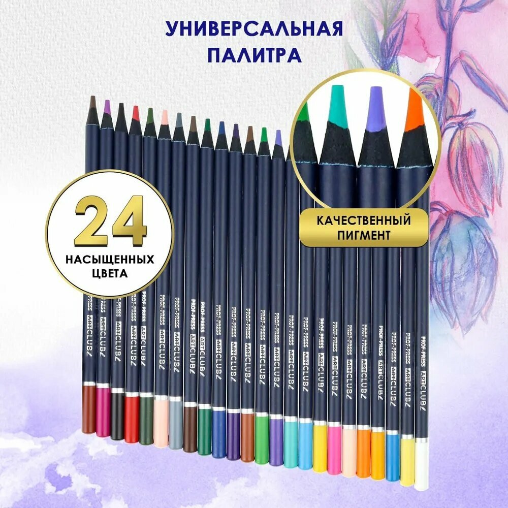 Набор карандашей, вид карандаша: Цветной, 24 шт.