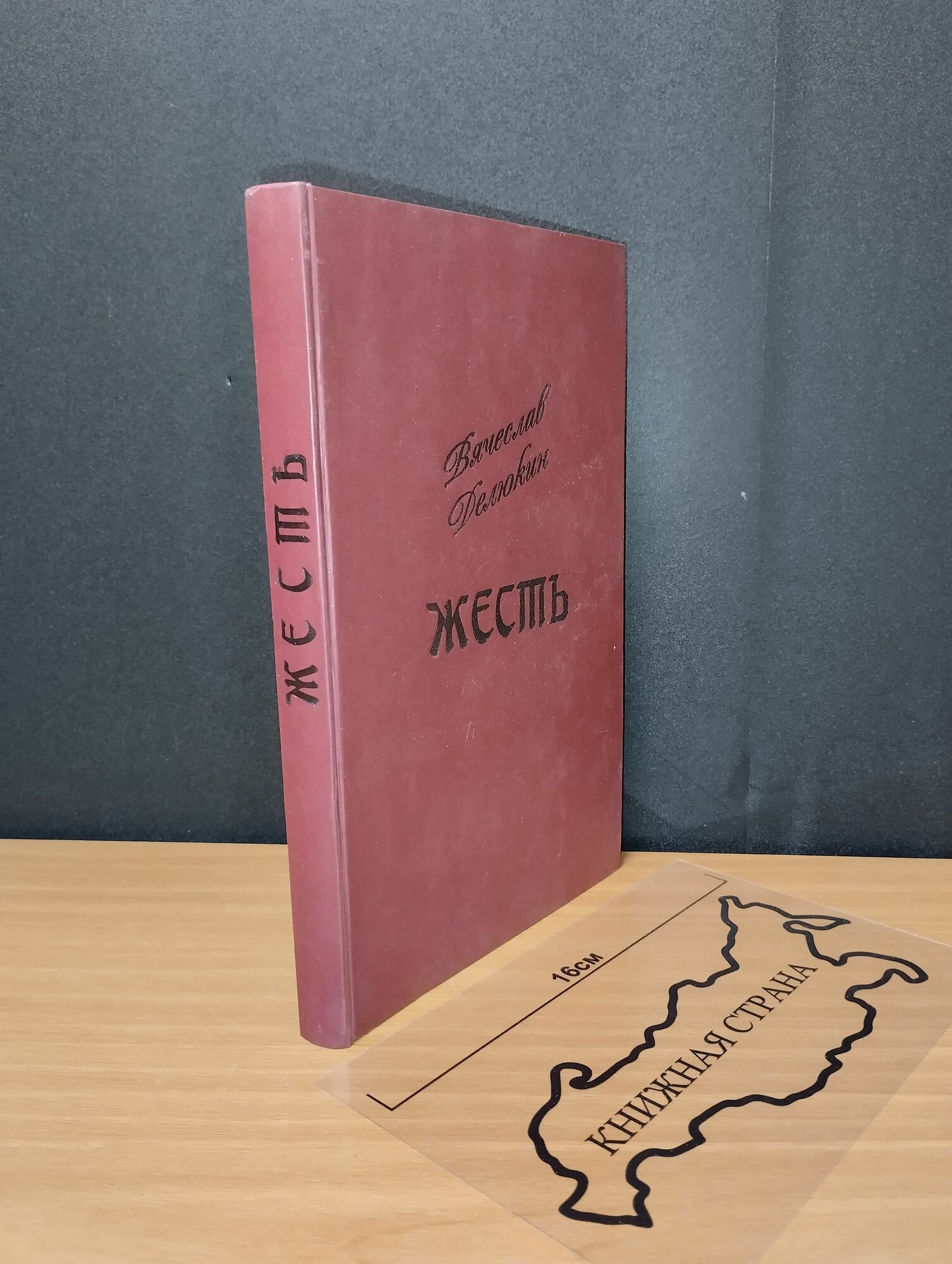 Жесть. Вячеслав Делюкин. 2013