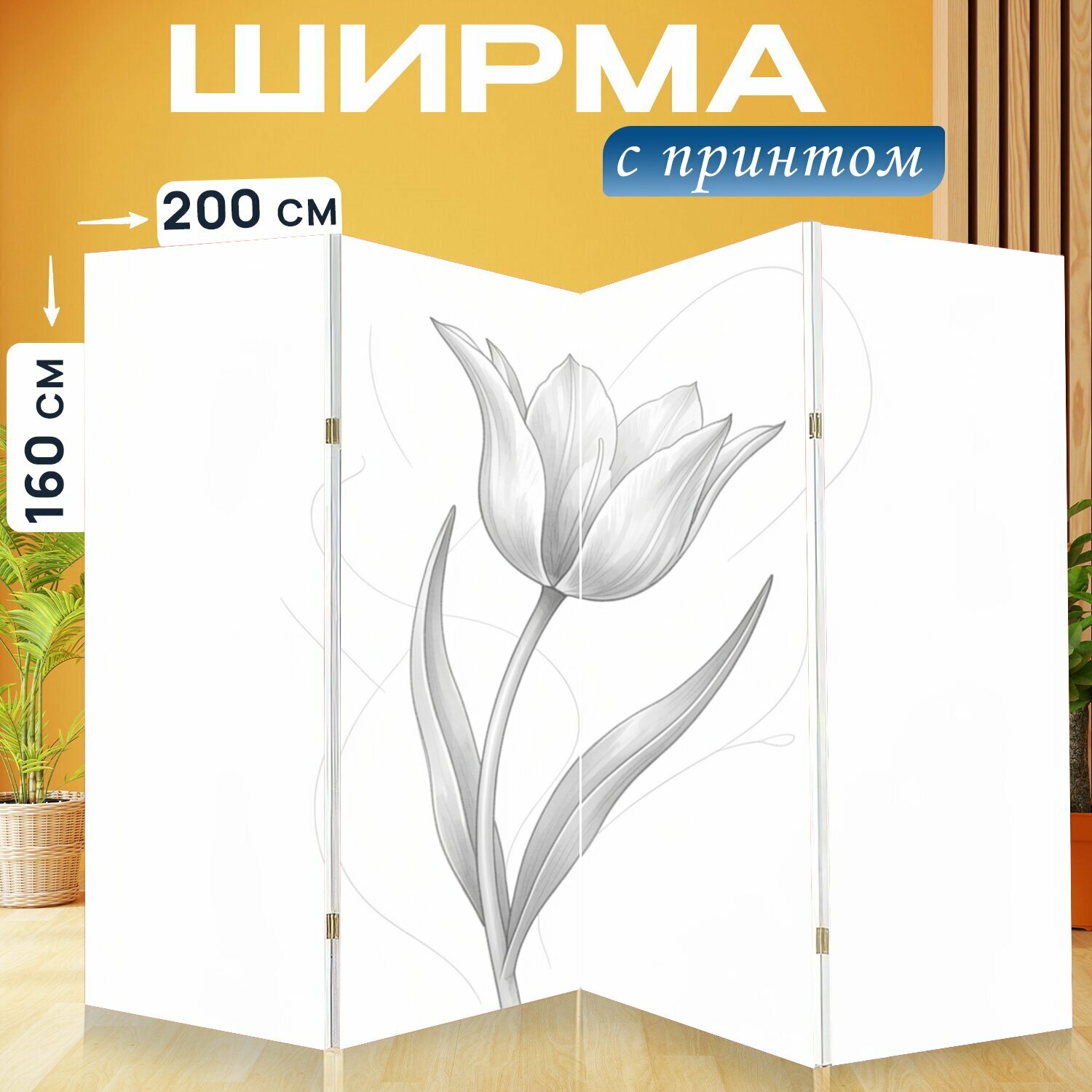 Ширма "Нежный белый тюльпан. Изящный цветок в серо-белой палитре с тонкими лепестками и длинными листьями." перегородка для зонирования комнаты с принтом 200x160 см. на холсте