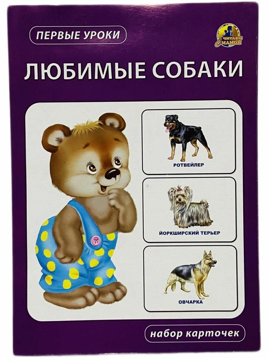 Первые уроки. Набор карточек. Любимые собаки. (Формат А5)