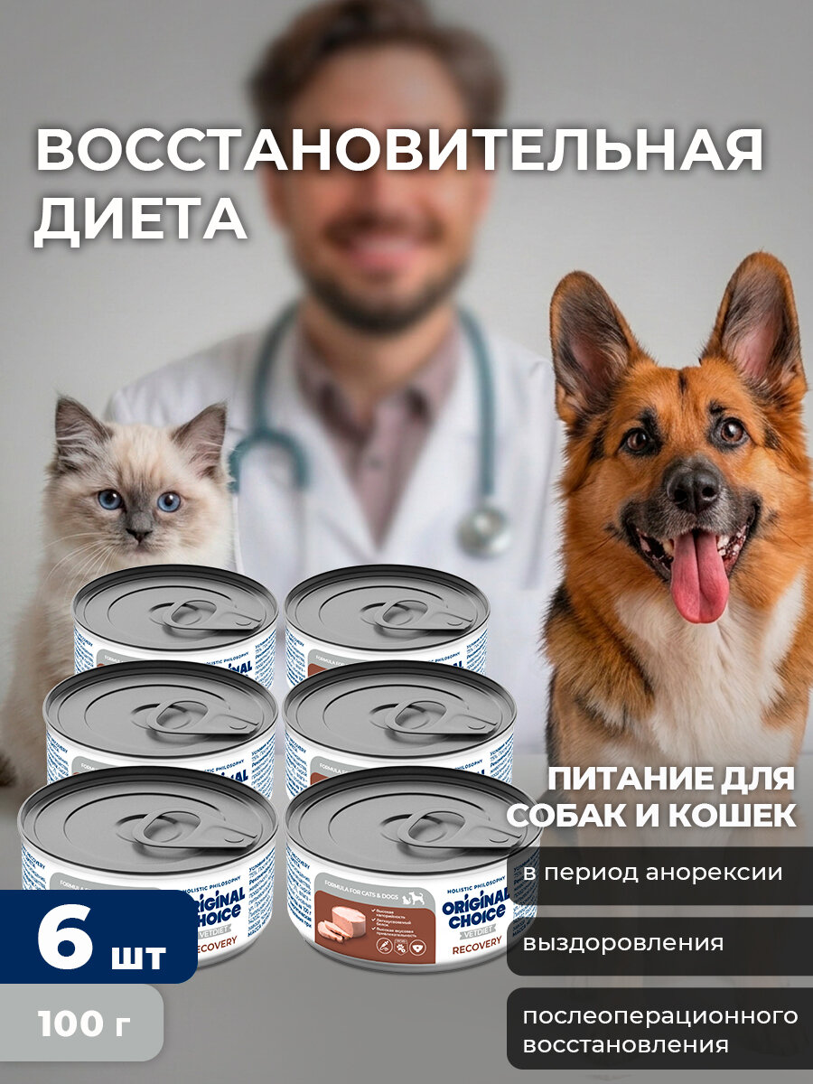 Влажный корм ORIGINAL CHOICE VETDIET Recovery для собак и кошек восстановительная диета 100 г х 6 шт