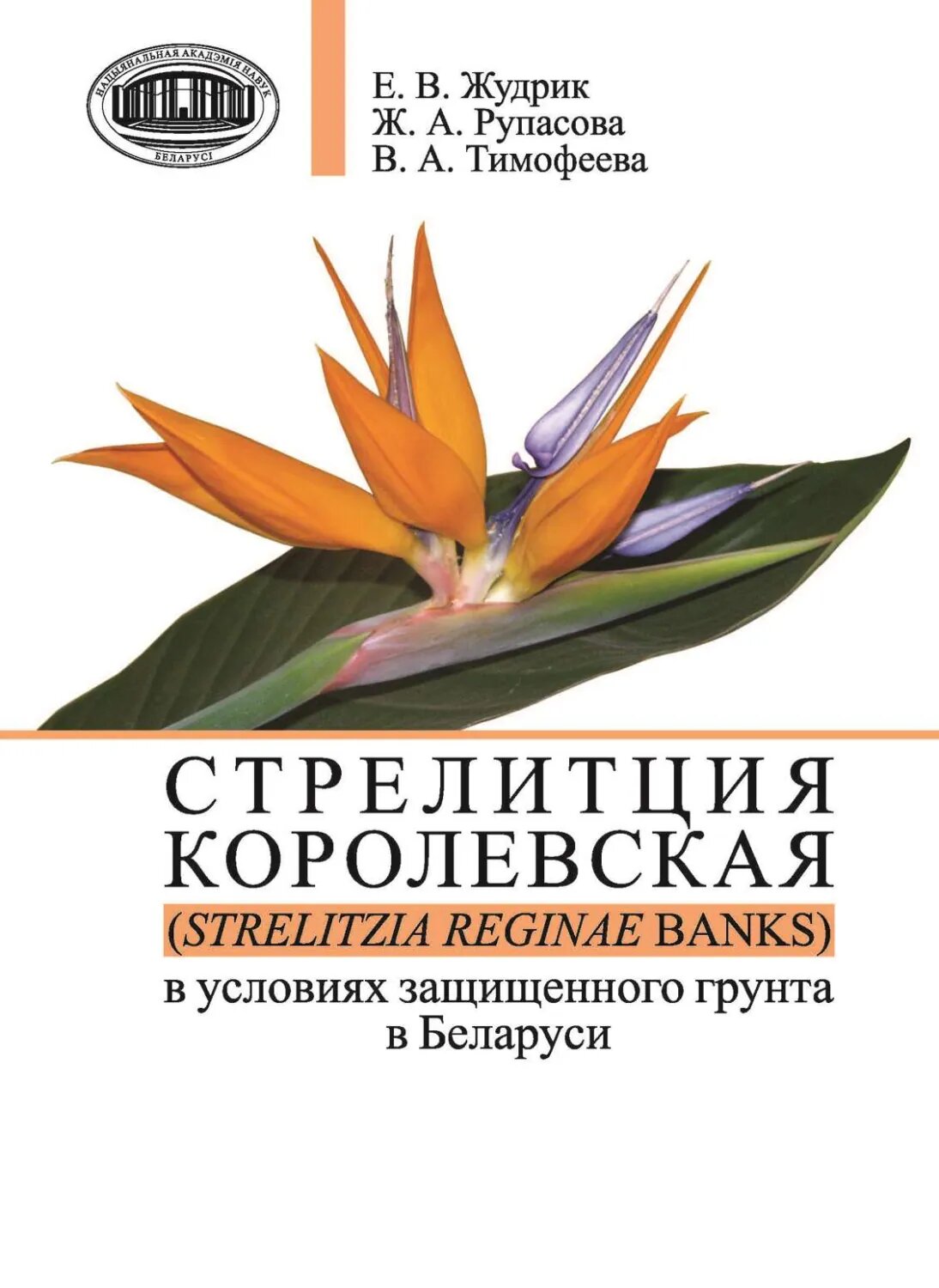 Стрелитция королевская (Strelitzia reginae Banks) в условиях защищенного грунта в Беларуси [Цифровая книга]