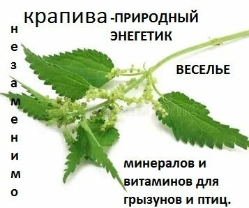 Стебли крапивы, для активных грызунов