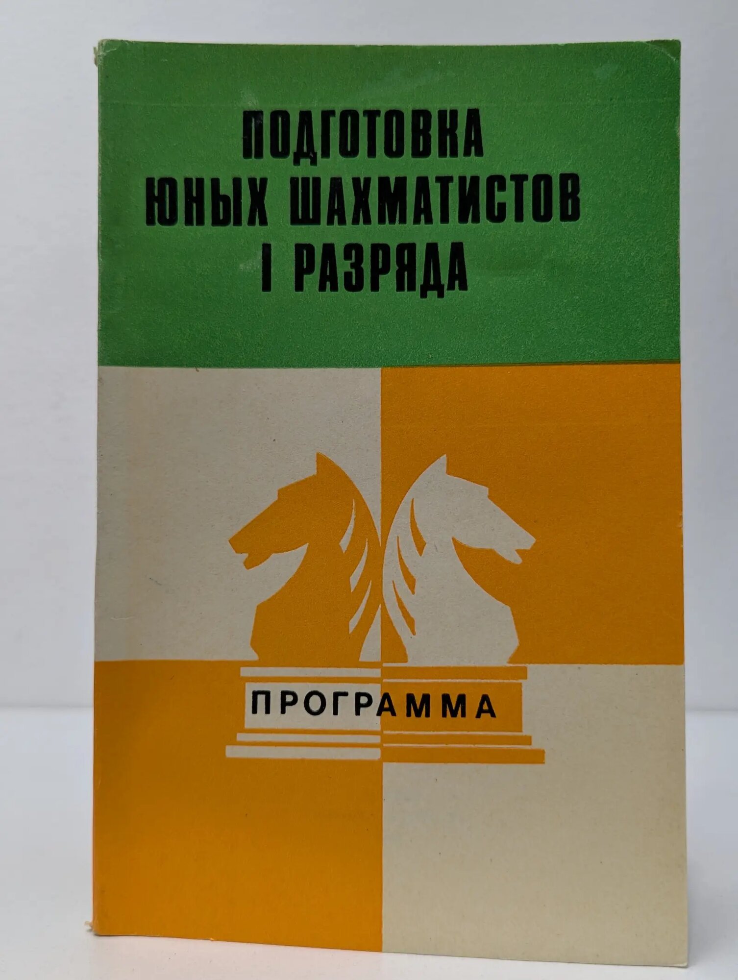 Программа. Подготовка юных шахматистов 1 разряда Голенищев Виктор Евгеньевич 1980
