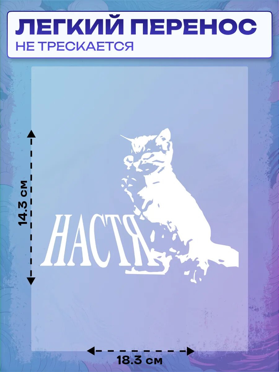 Термонаклейка Настя — фото 1