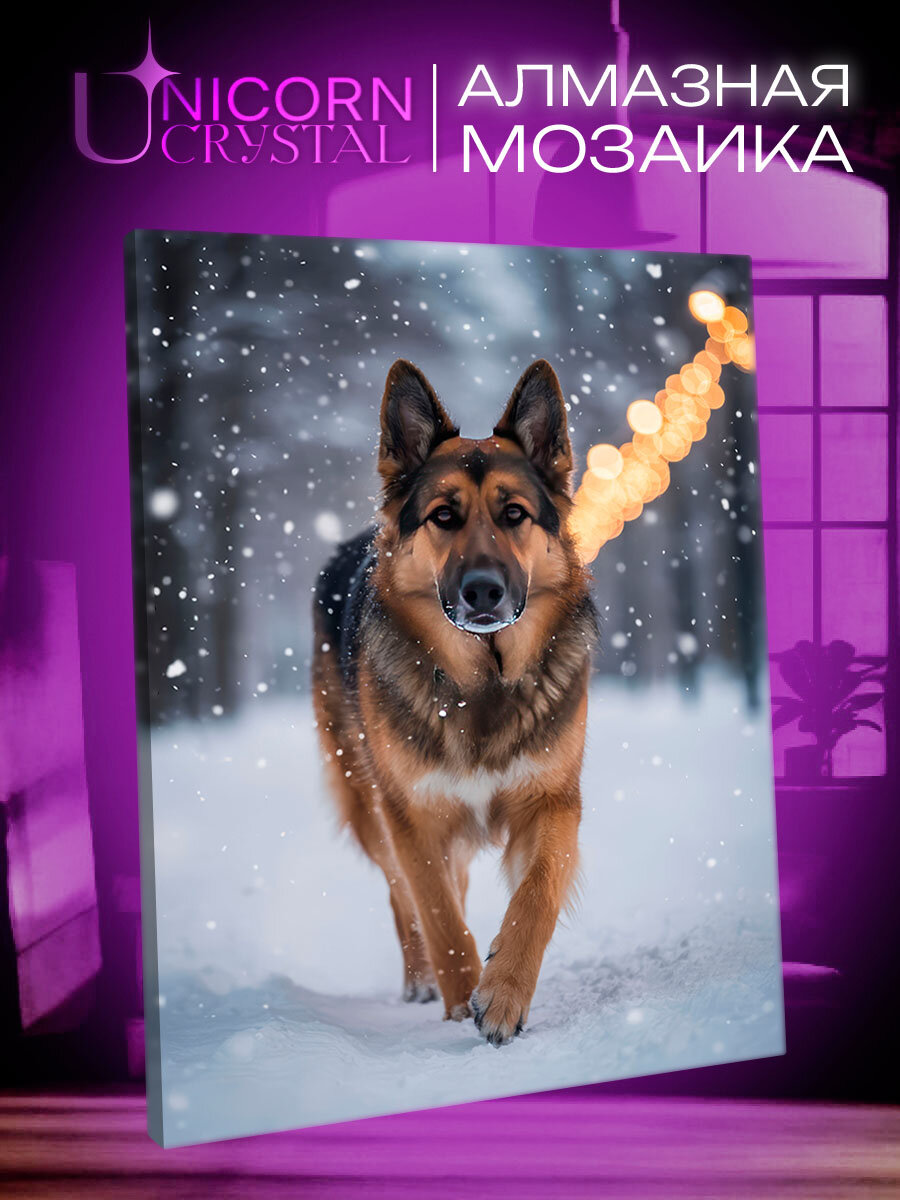 Алмазная мозаика Зимние